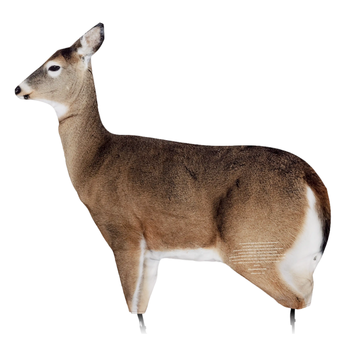 Dreamy Doe - Montana Decoy