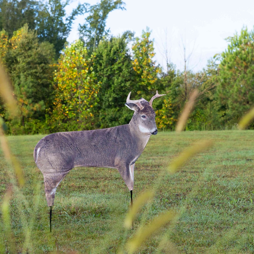 The Freshman Buck Decoy - Montana Decoy